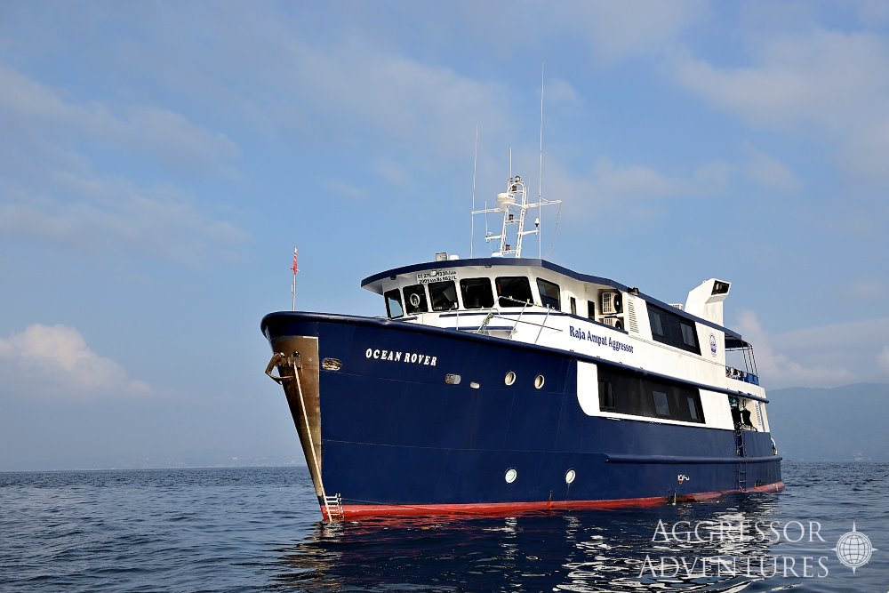 Raja Ampat Aggressor Liveaboard, Indonesia - Updated 2024 Prices