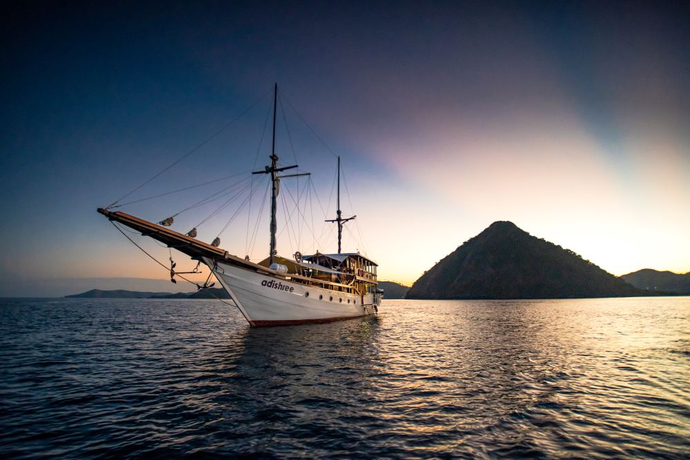 Adishree Liveaboard, Indonesia - Updated 2024 Prices